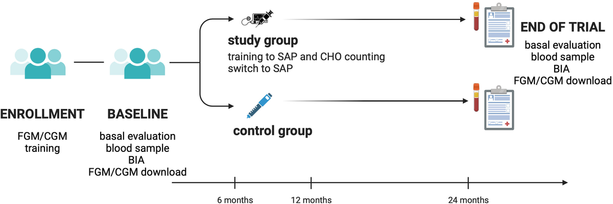 Frontiers | Effects of insulin therapy optimization with sensor ...