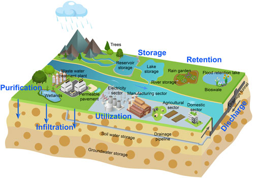 Frontiers | Editorial: Nature-based solutions for urban water management