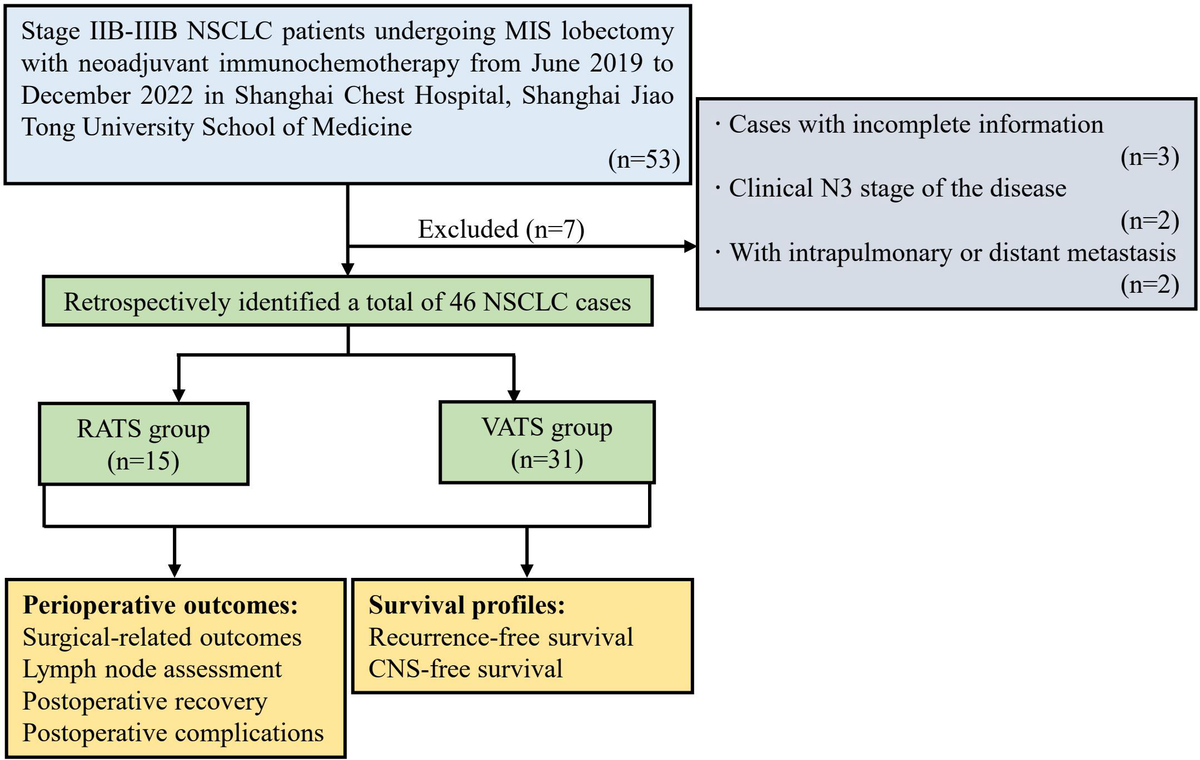 Frontiers | Short-term outcomes of robot-assisted versus video-assisted ...