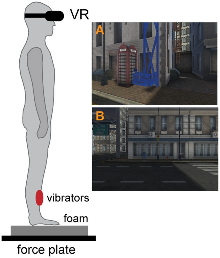 Frontiers | Fear of heights shapes postural responses to vibration ...