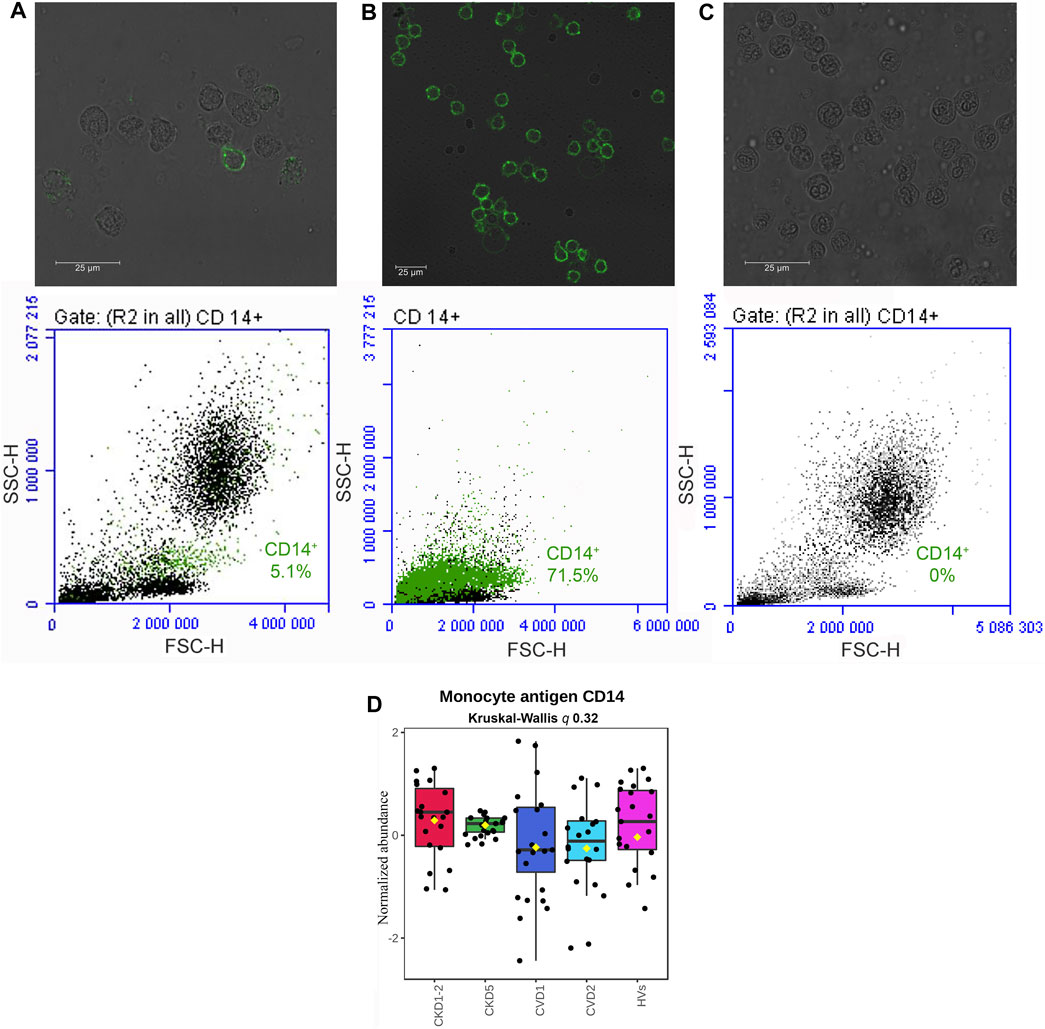 Frontiers | Comprehensive proteomics of monocytes indicates oxidative ...