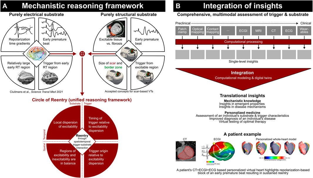 Frontiers | Editorial: Computational methods in cardiac electrophysiology