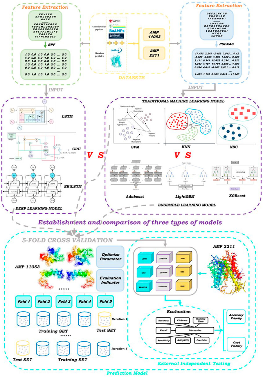 Frontiers | AMP-EBiLSTM: employing novel deep learning strategies for ...