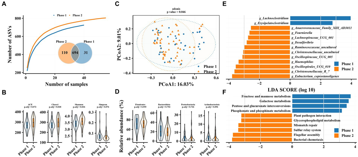Frontiers | Difference of gut microbiota between patients with negative and positive HBeAg in ...