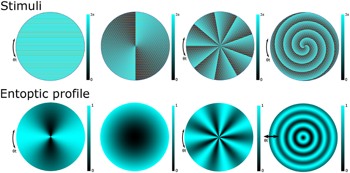 Frontiers | Structured light enhanced entoptic stimuli for vision ...