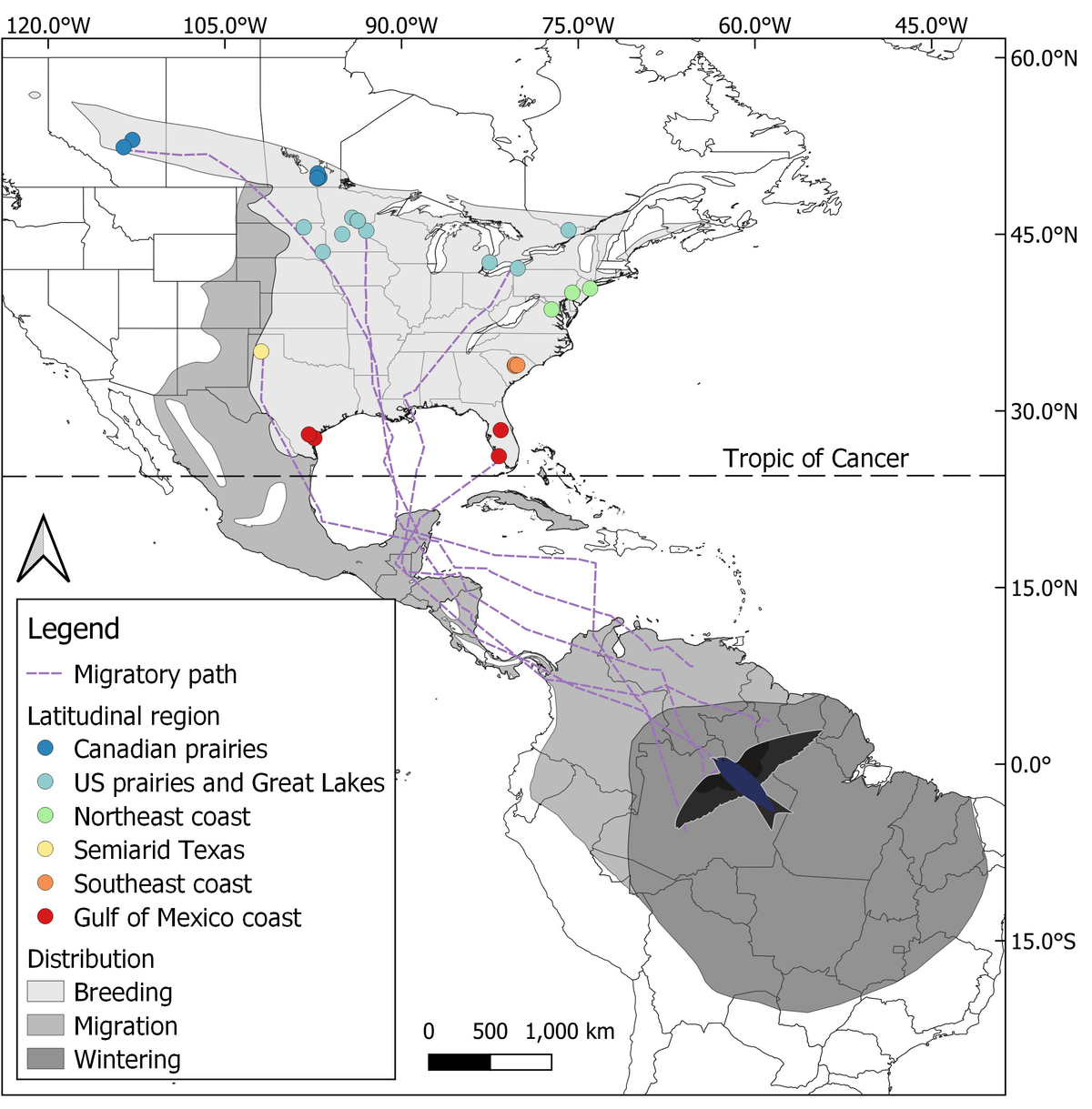 Frontiers | Spring departure date, not en route conditions, drive ...