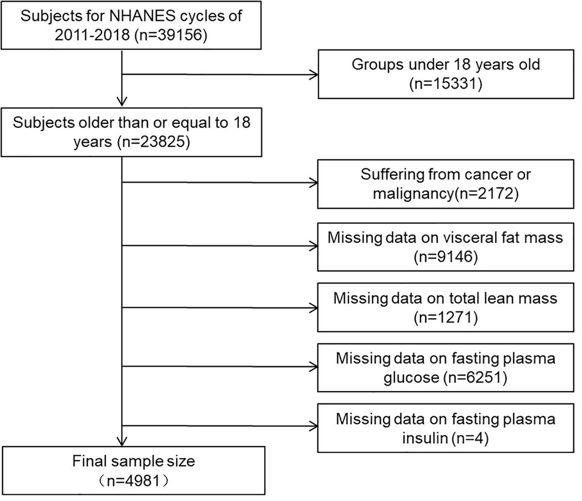 Frontiers | Anticipated correlation between lean body mass to visceral ...