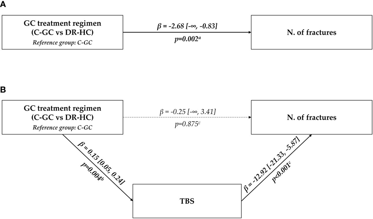 Frontiers | Bone safety of dual-release hydrocortisone in patients with ...