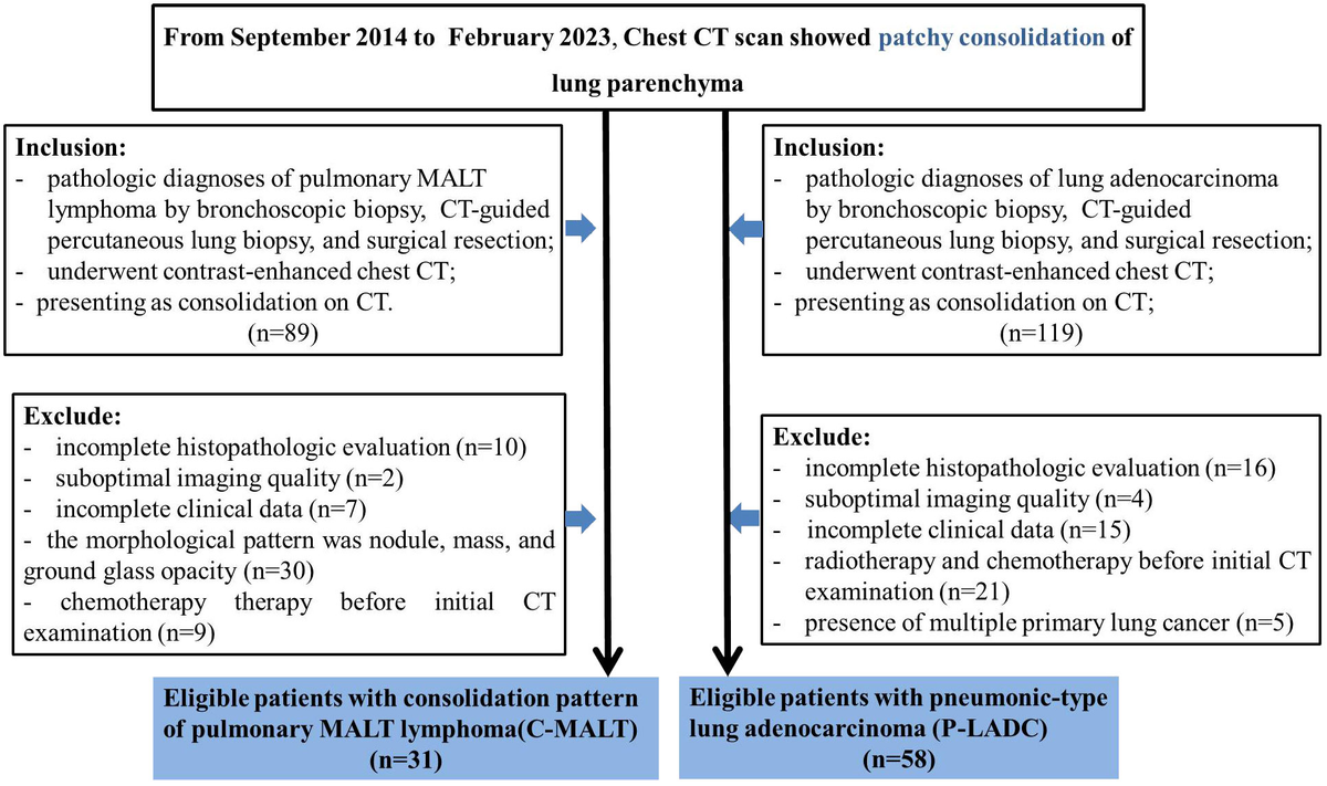 Frontiers | Evaluation of CT features for differentiating consolidation ...