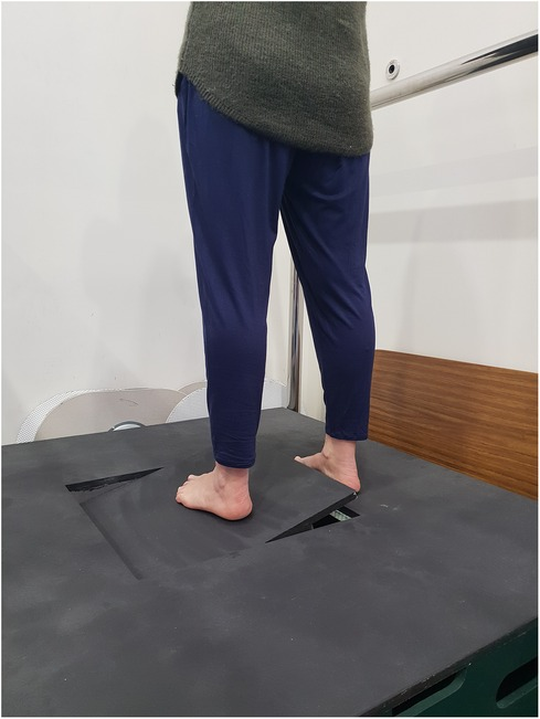 Frontiers | The effect of compression and combined compression-tactile ...