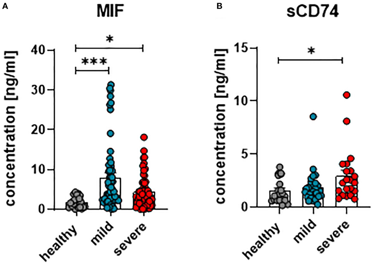 Frontiers | Macrophage migration inhibitory factor receptor CD74 ...