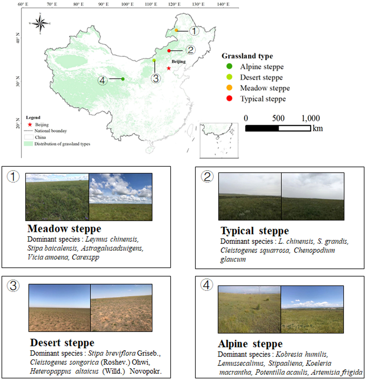 Frontiers | Climate, not grazing, influences soil microbial diversity ...