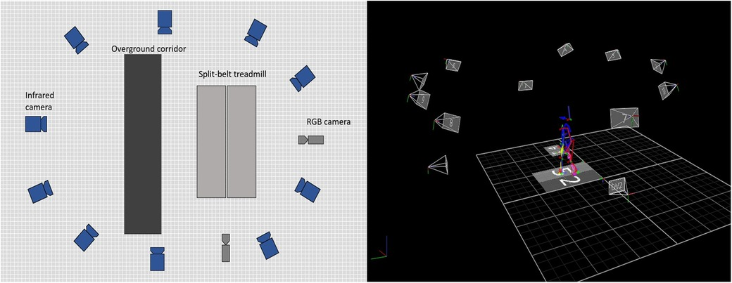 Frontiers | Gait analysis comparison between manual marking, 2D pose estimation algorithms, and ...