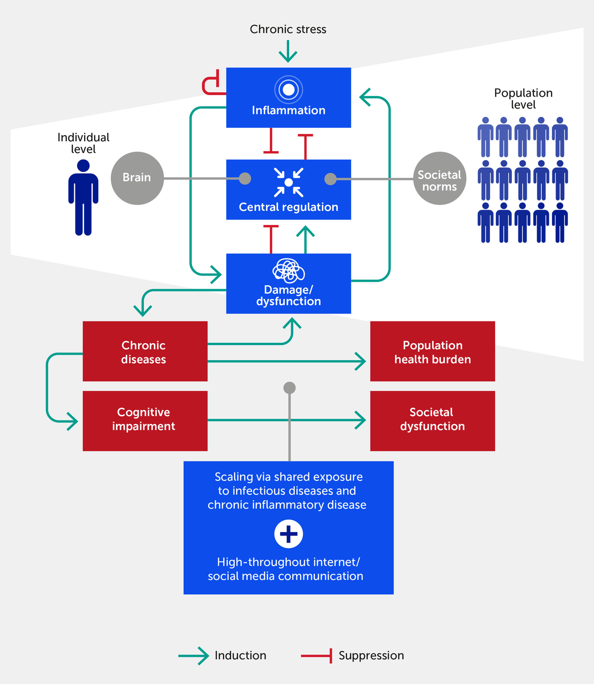 Frontiers | A multiscale inflammatory map: linking individual stress to ...