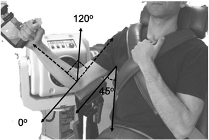 Frontiers | Magnitude and direction of elbow torque asymmetries in ...