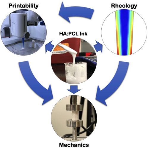 Frontiers | Optimizing rheological properties for printability: low ...