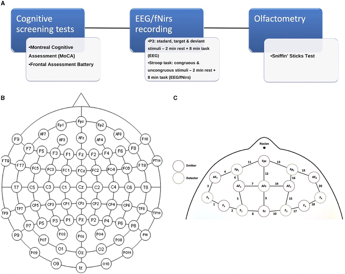 Frontiers | Prefrontal dysfunction in post-COVID-19 hyposmia: an EEG/fNIRS study