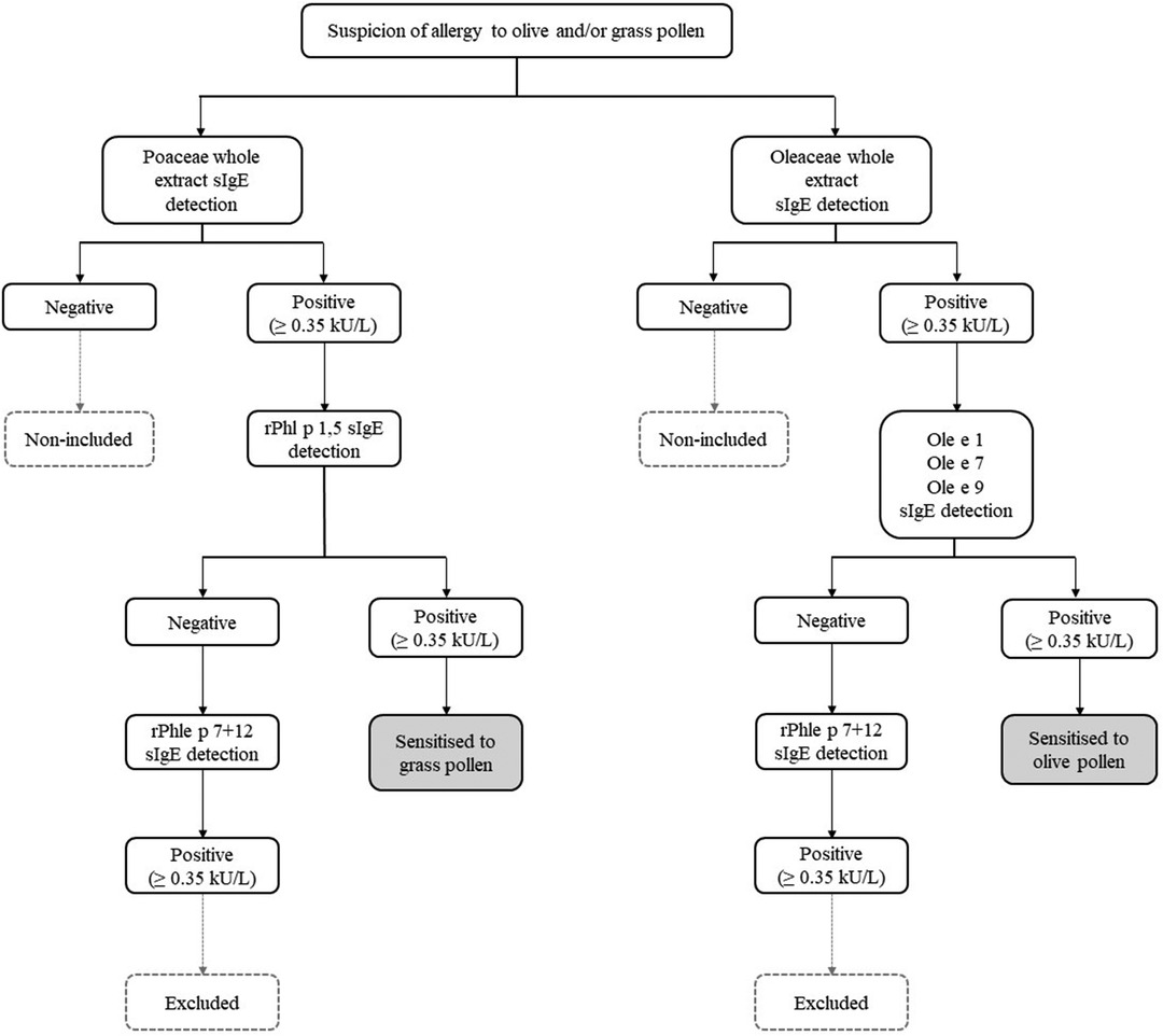 Frontiers | Back to basics: likelihood ratios for olive and grass ...