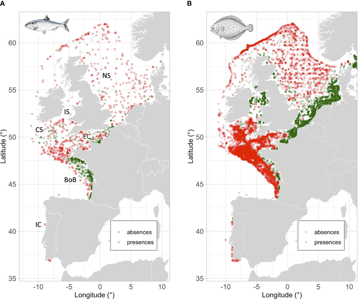 Frontiers | From the modeling of diadromous species’ marine ...