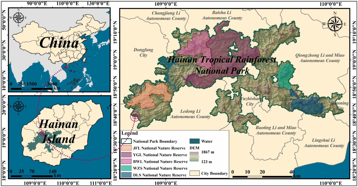 Frontiers | Optimization of tropical rainforest ecosystem management ...