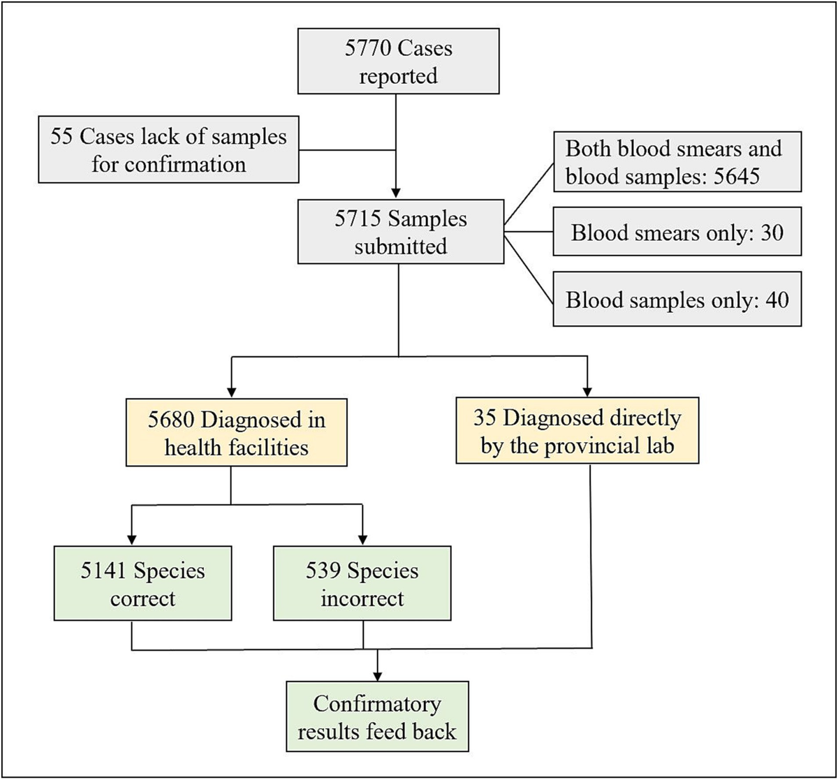 Frontiers | Evaluation of performance for malaria diagnosis in health ...