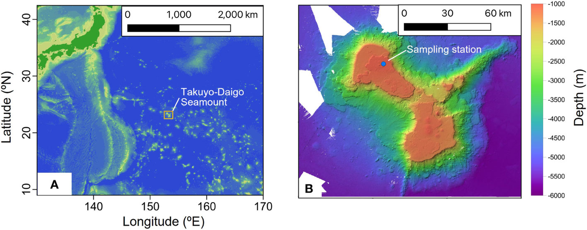 Frontiers | Environmental DNA metabarcoding of foraminifera for biological monitoring of bottom ...