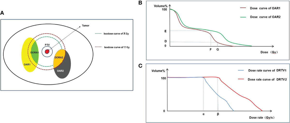 Frontiers | Key changes in the future clinical application of ultra ...