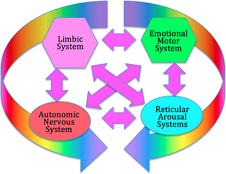 Frontiers | Somatic experiencing: using interoception and ...
