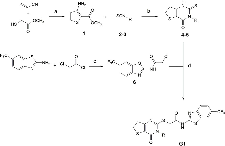 Frontiers | Zebrafish as model system for the biological characterization of CK1 inhibitors