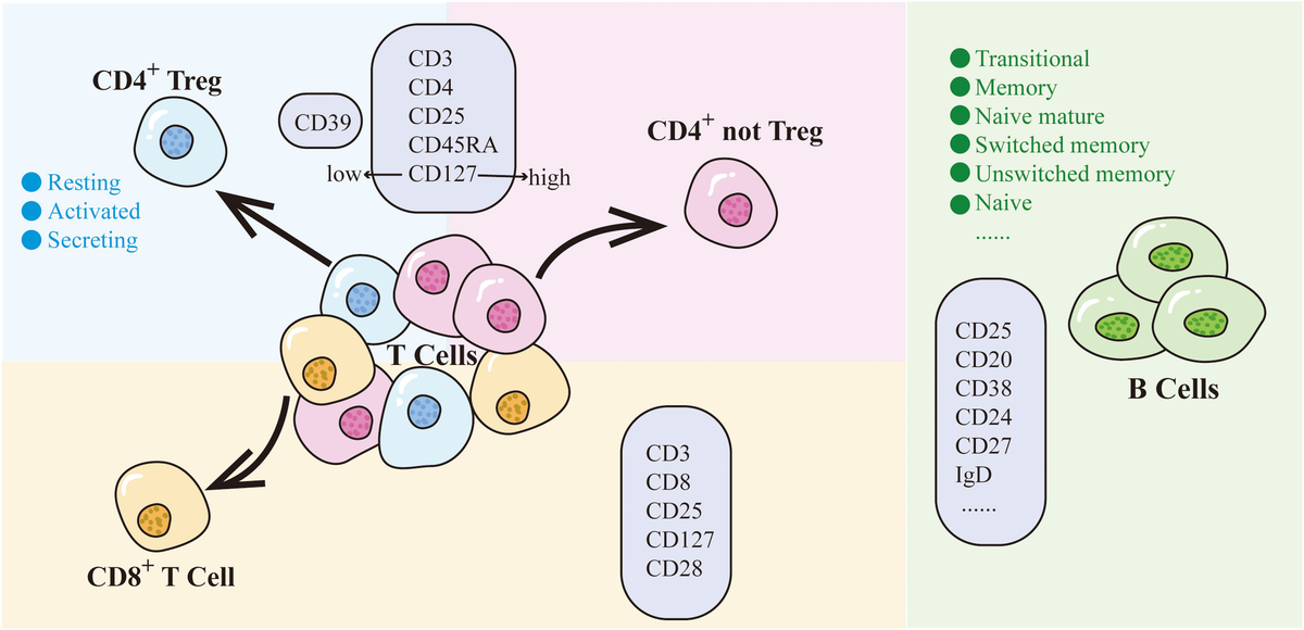 Frontiers | Causal relationships between CD25 on immune cells and hip ...