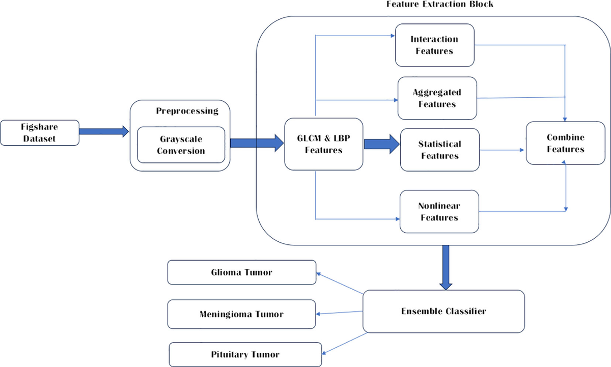 Frontiers | Brain tumor classification: a novel approach integrating GLCM, LBP and composite ...