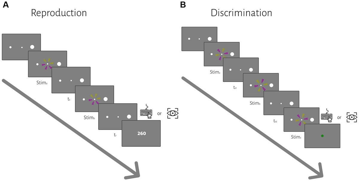 Frontiers | Context-specific and context-invariant computations of interval timing