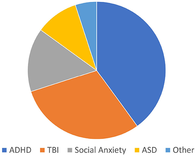Frontiers | Enhancing attention in autism spectrum disorder ...