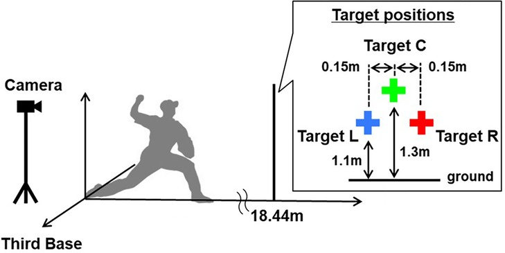 Frontiers | The ability to appropriately distinguish throws for ...