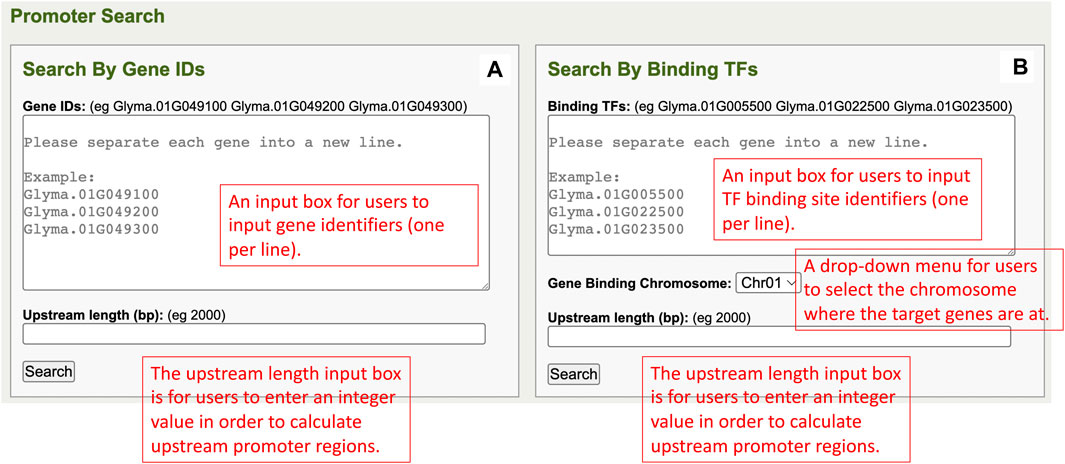 Frontiers | Genomic Variations Explorer (GenVarX): a toolset for annotating promoter and CNV ...