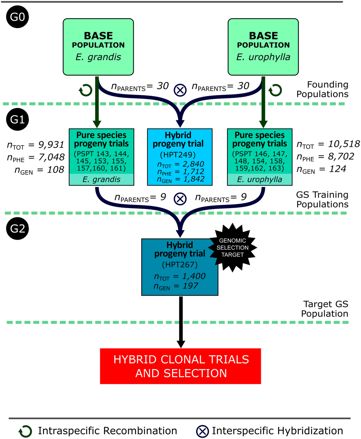 Frontiers | Realized genomic selection across generations in a ...