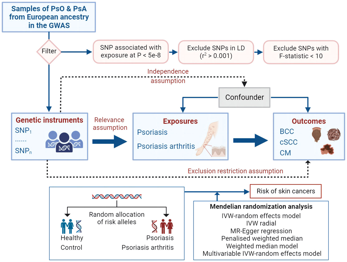 Frontiers | Multivariate Mendelian randomization provides no evidence ...