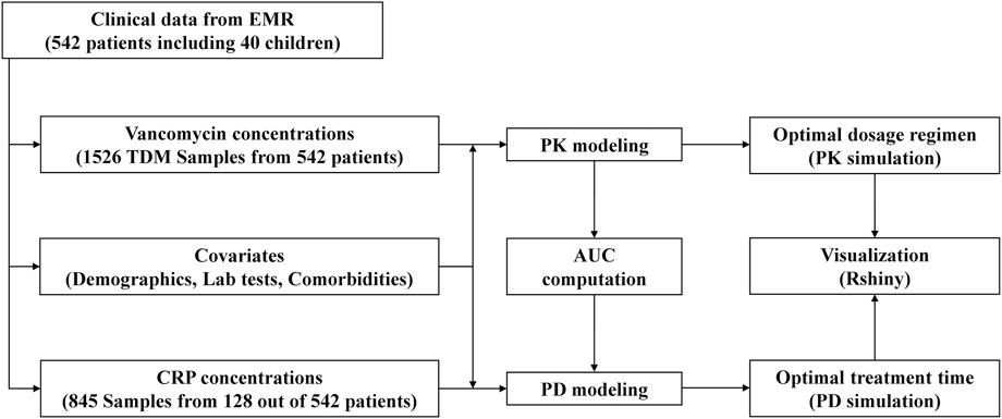 Frontiers | Model-informed precision dosing in vancomycin treatment