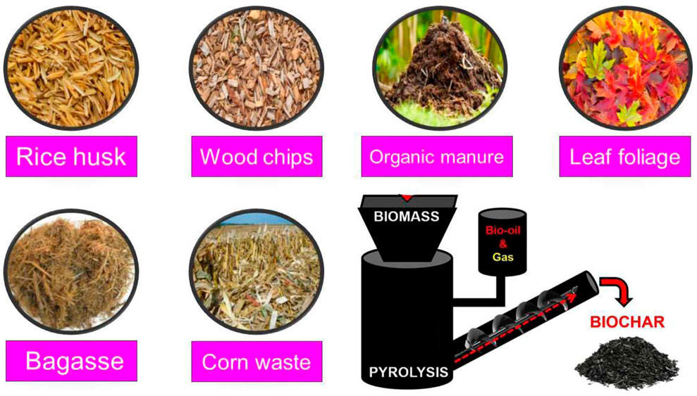 Frontiers | Biochar; an effective factor in improving phytoremediation ...