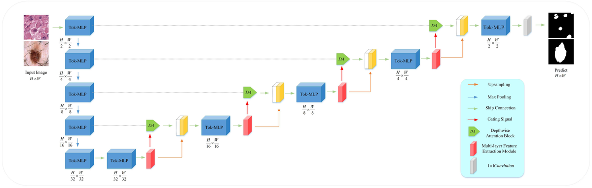 Frontiers | Lightweight semantic segmentation network for tumor cell nuclei and skin lesion