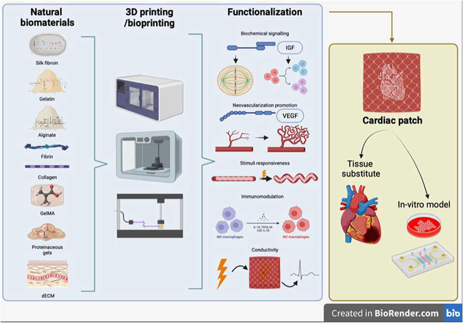 Frontiers | Mending a broken heart by biomimetic 3D printed natural ...