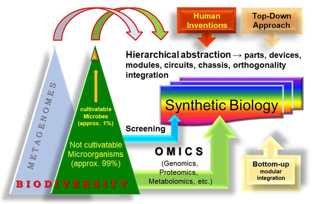 Frontiers | Synthetic biology encompasses metagenomics, ecosystems, and biodiversity ...