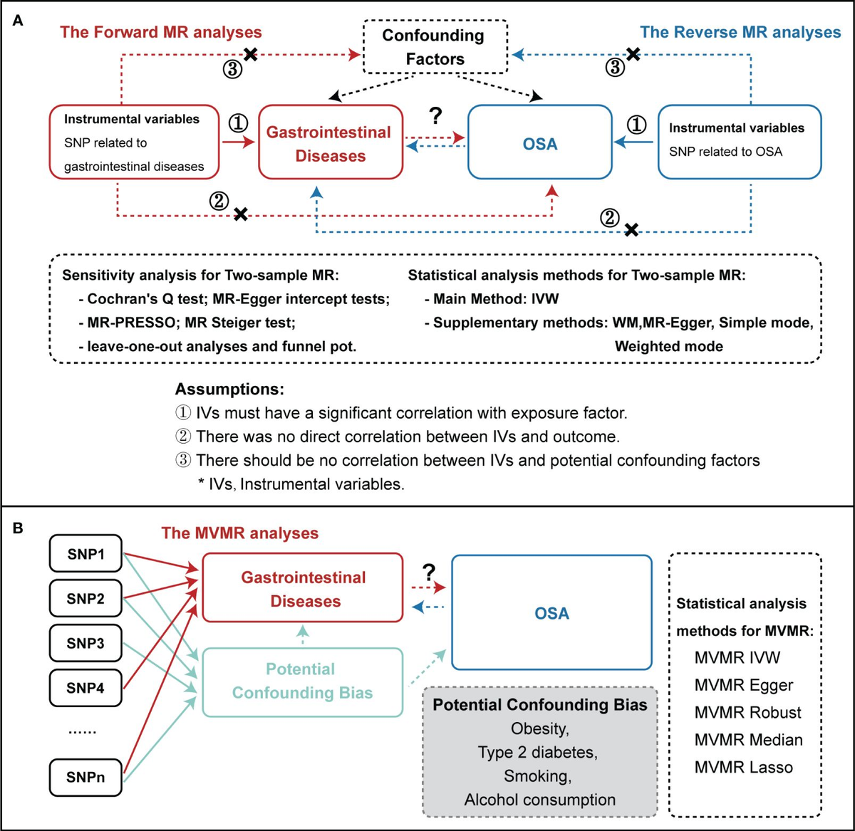 Frontiers | Obstructive sleep apnea and 19 gastrointestinal diseases: a ...