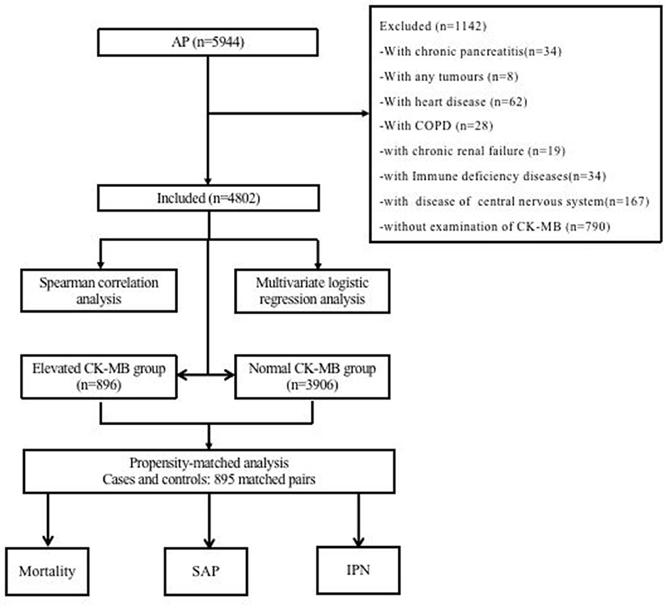 Frontiers | Elevated CK-MB levels are associated with adverse clinical ...