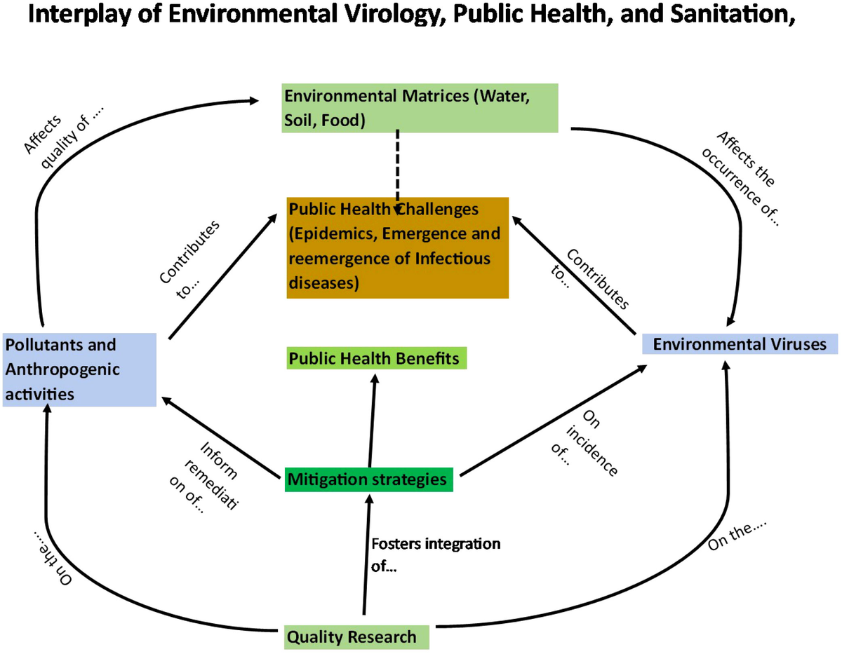 Frontiers | Analysing the interplay of environmental virology, public ...