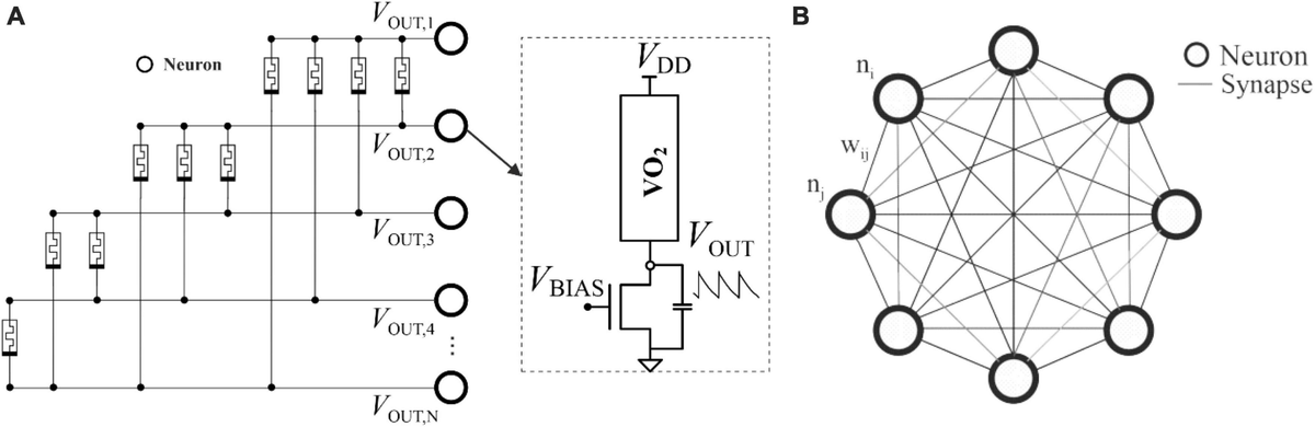 Frontiers | Learning algorithms for oscillatory neural networks as associative memory for ...