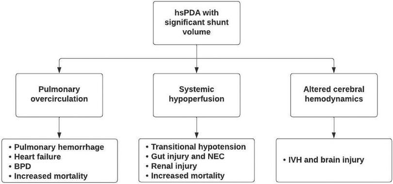 Frontiers | Should we “eliminate” PDA shunt in preterm infants? A ...