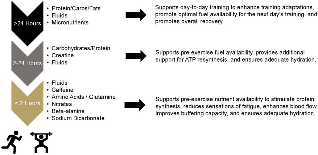 Frontiers | Editorial: Pre-workout nutrition