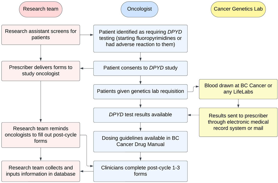 Frontiers | Implementation of pharmacogenetic testing in oncology: DPYD ...