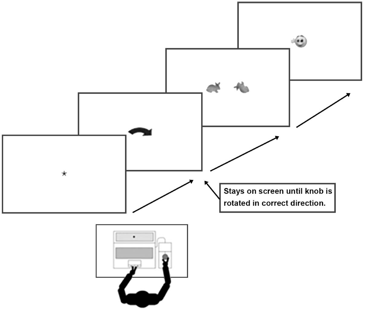 Frontiers | The role of rotational hand movements and general motor ...